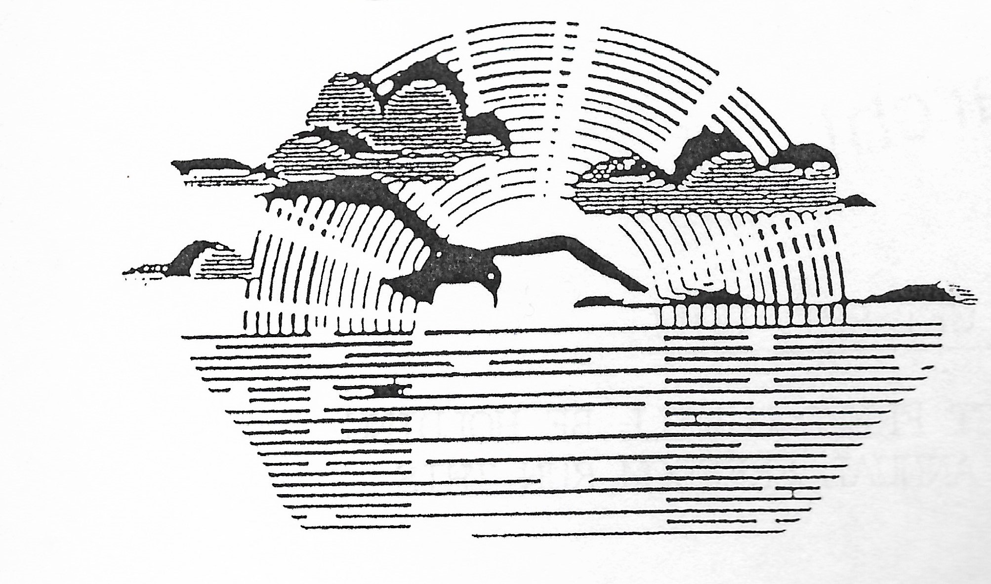 Legacy’s Happenings – Project Freedom